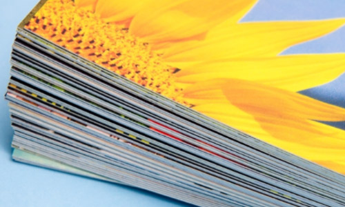 Photo Prints & Enlargements | AlphaGraphics Corporate