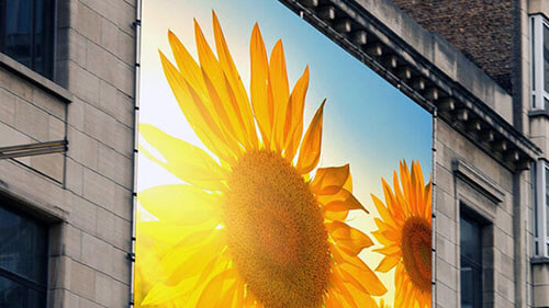 Custom Signs That Get Your Business Noticed | AlphaGraphics ...