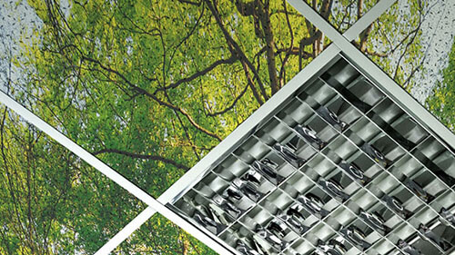 Custom Signs That Get Your Business Noticed | AlphaGraphics ...